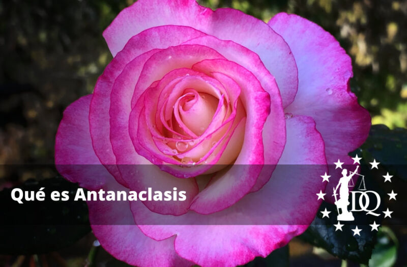 Qué es Antanaclasis. Definición y Ejemplos