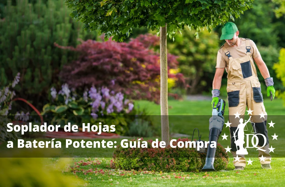 Qué es Antanaclasis. Definición y Ejemplos